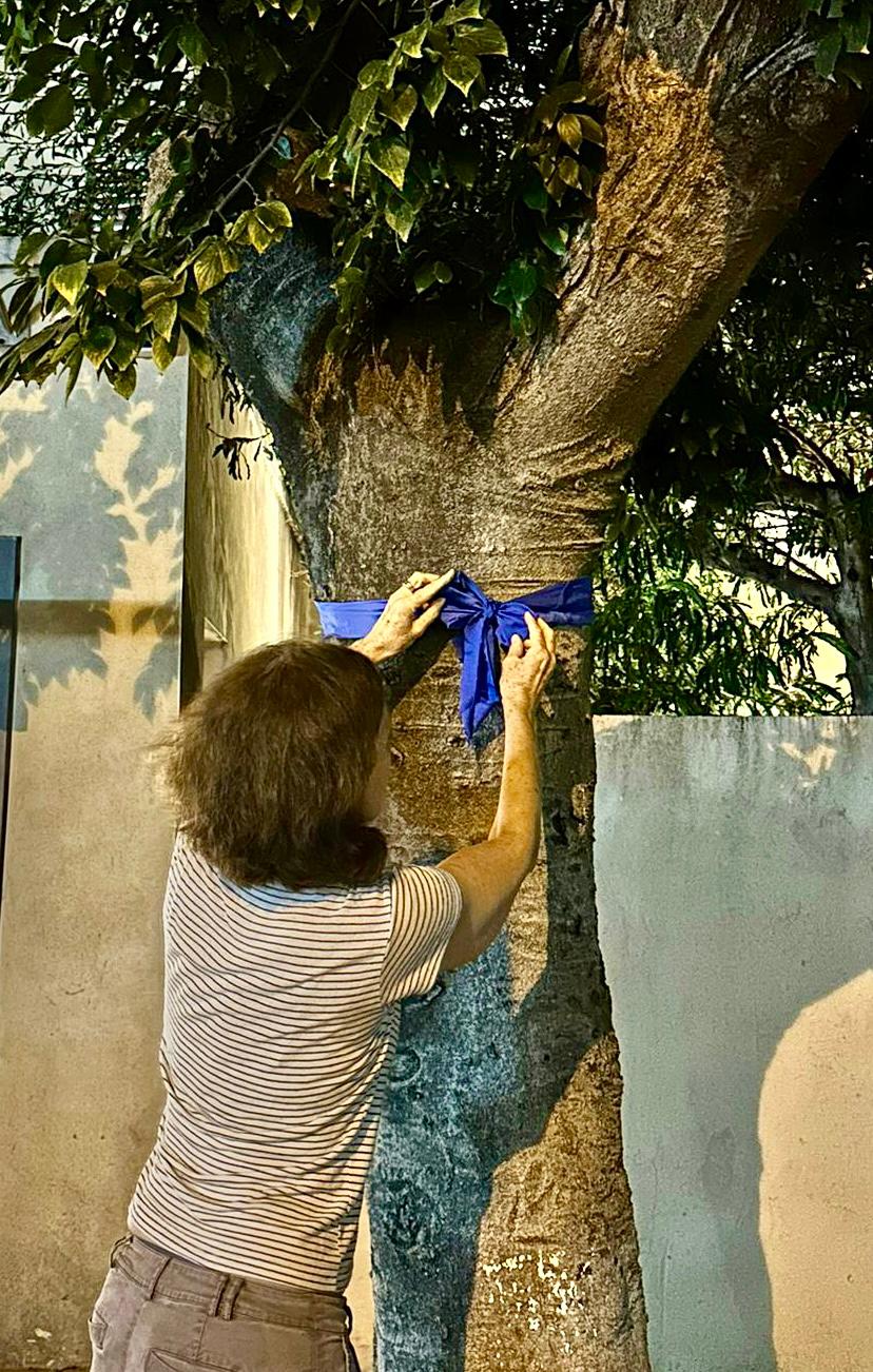 Photo Gallery - Israel Blue Ribbon